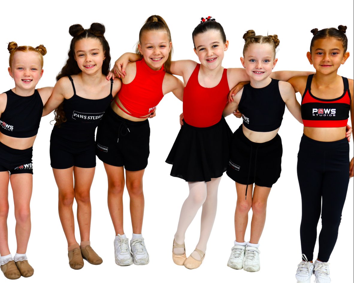 Shoes – Paws Studios Store